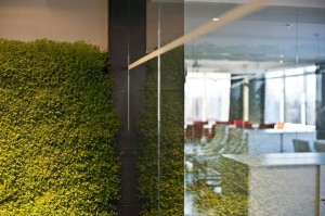 » Technology company office by TSEH