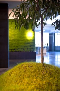 » Technology company office by TSEH