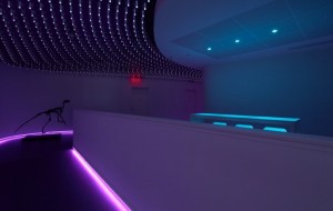 » Saxo Bank headquarters by 3XN Architects, Hellerup – Denmark