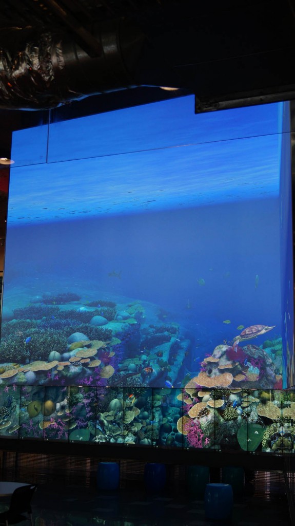 » Virtual Reef interactive multitouch installation by Pro AV Solutions