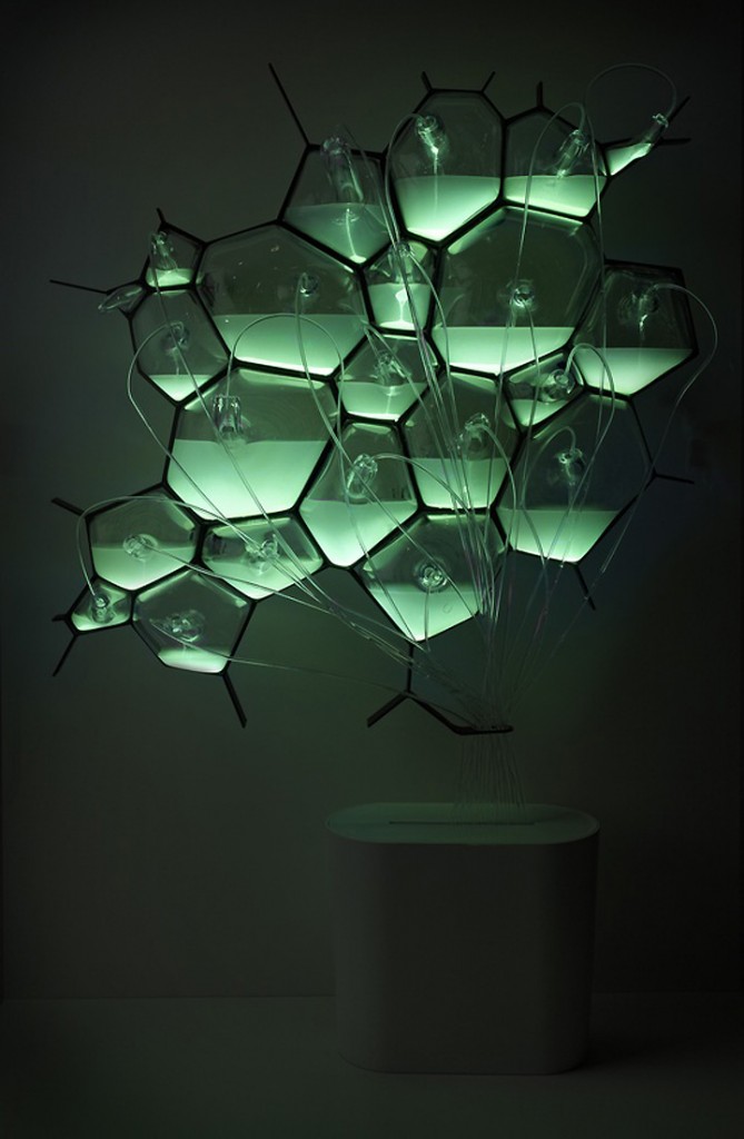 » Bio-Light concept light fixture by Philips
