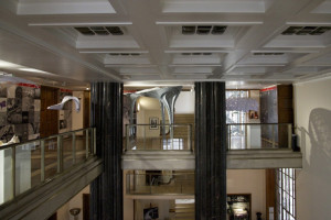 » Shell Lace structure by Tonkin Liu