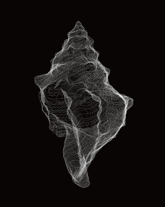 » Shell Lace structure by Tonkin Liu