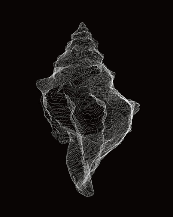 » Shell Lace structure by Tonkin Liu