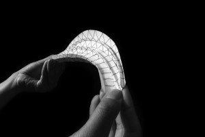 » Shell Lace structure by Tonkin Liu