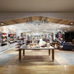 » Evidea Chain Stores