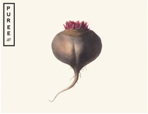 » Puree branding & packaging by Studio Ahamed