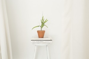 » Assembly Label Concept Store by Assembly Label & Mr & Mrs White ...