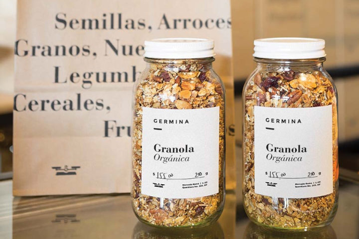 » Germina Branding by Savvy Studio