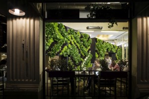 » The Great Green Wall Installation by Joseph Barakat, Beirut – Lebanon