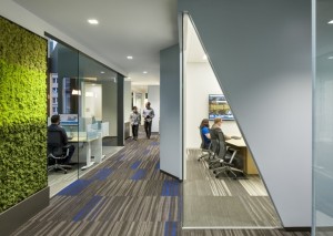 » Microsoft Offices by Design Blitz, San Francisco – California