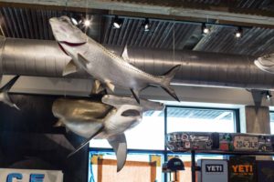 » YETI flagship store by lauckgroup, Austin – Texas