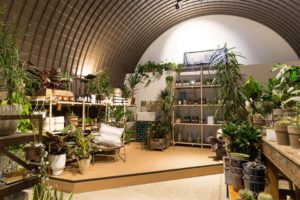 » Forest store by and then-studio, London – UK