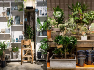 » Forest store by and then-studio, London – UK