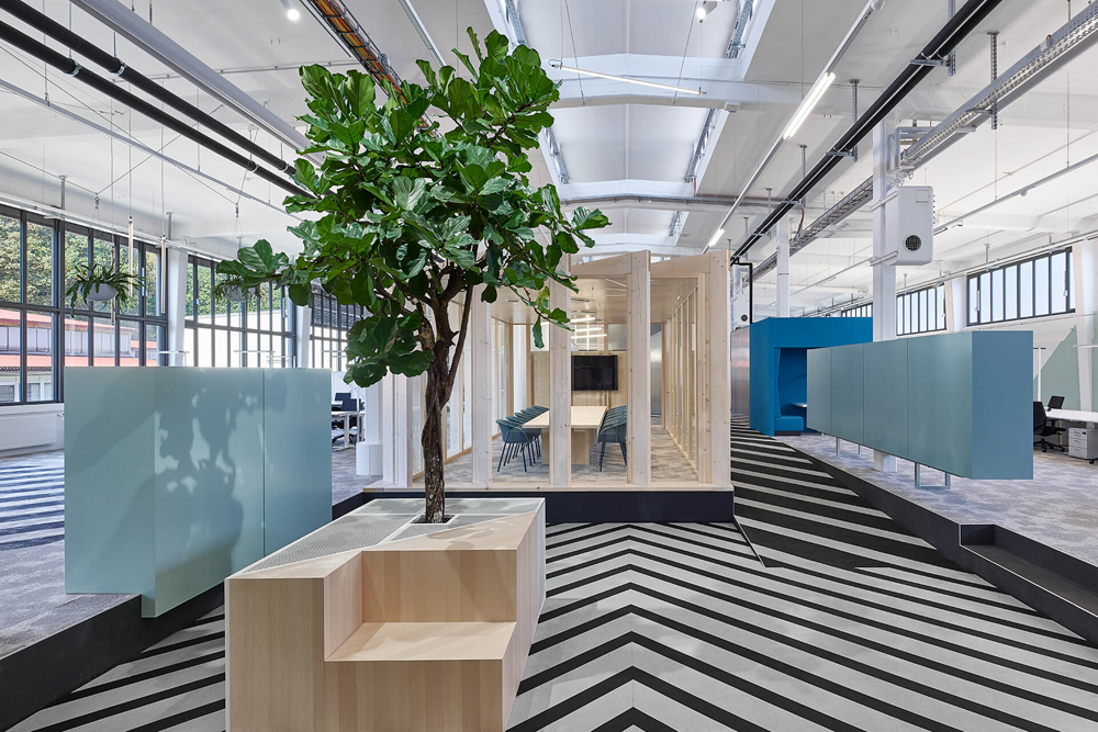 » Bosch AS office by Alexander Fehre