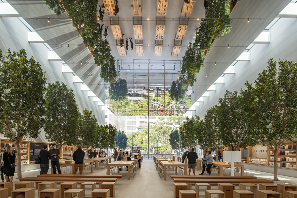 » Apple store by Foster + Partners