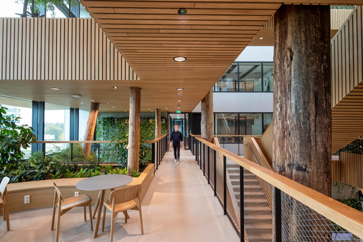 » Campus Woudestein at Erasmus University Rotterdam by Paul de Ruiter ...