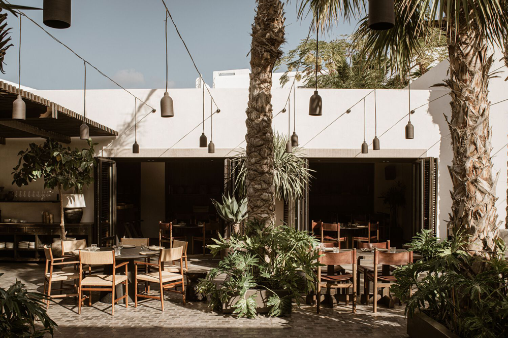 » NOEMA Bar and Restaurant by K-Studio + Lambs and Lions