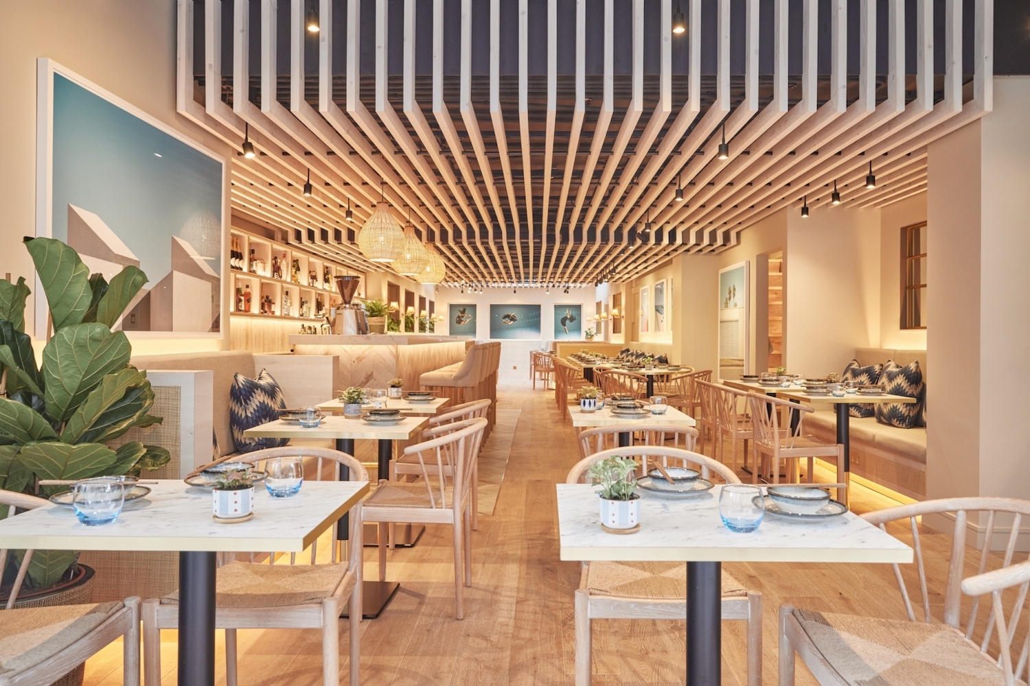 » HUŎ X Millennium